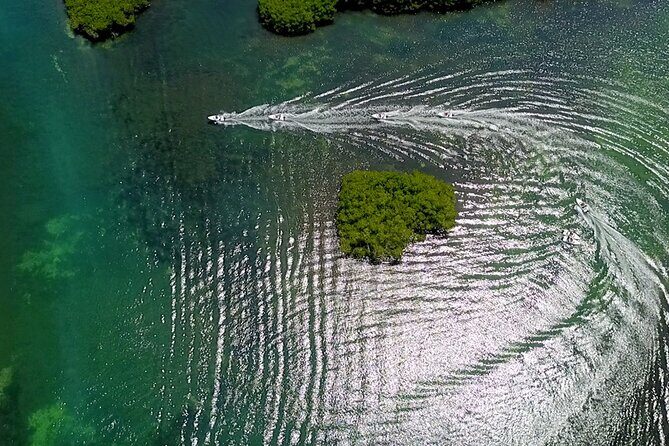 Cancun Speedboat And Snorkel Tour - Final Thoughts: Is This Tour For You?