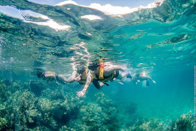 Cancun Speedboat And Snorkel Tour - FAQs