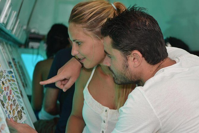 Cancun Submarine and Optional Snorkeling Tour - Final Thoughts