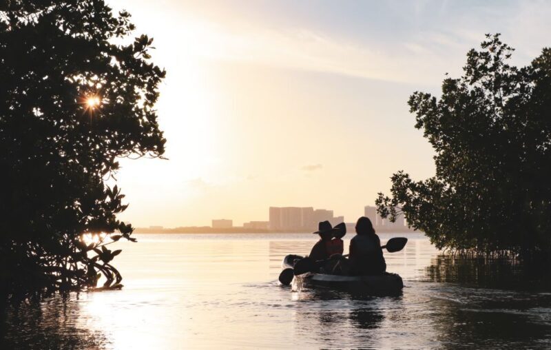 Cancun: Sunset Kayak Experience in the Mangroves - Included and Not Included