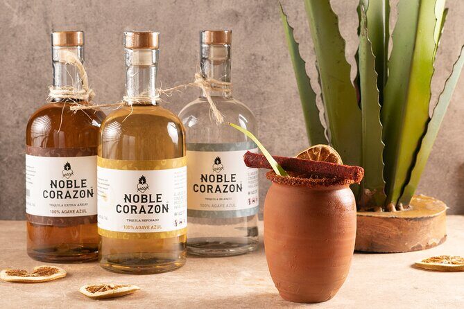 Cancun Tequila Tasting and Pairing - Why This Tour Offers Great Value