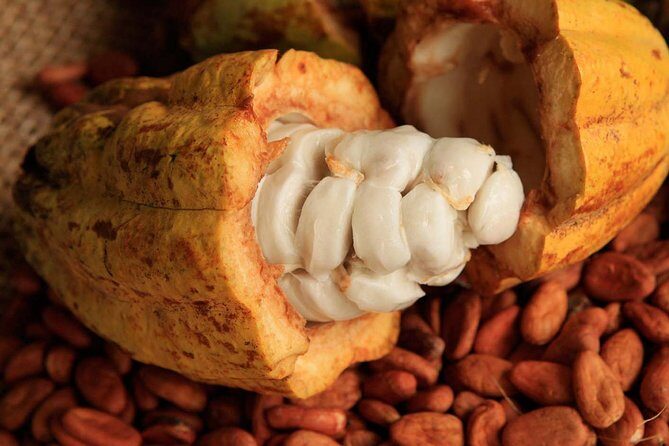 Cancun tour 4x1 Tour of Tulum, Coba, Cenote and Playa del Carmen - Authentic Experiences & Hidden Insights