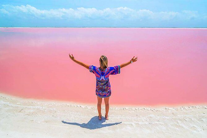 Cancun tour Las Coloradas Pink Lagoon + Rio Lagartos Tour - Key Points