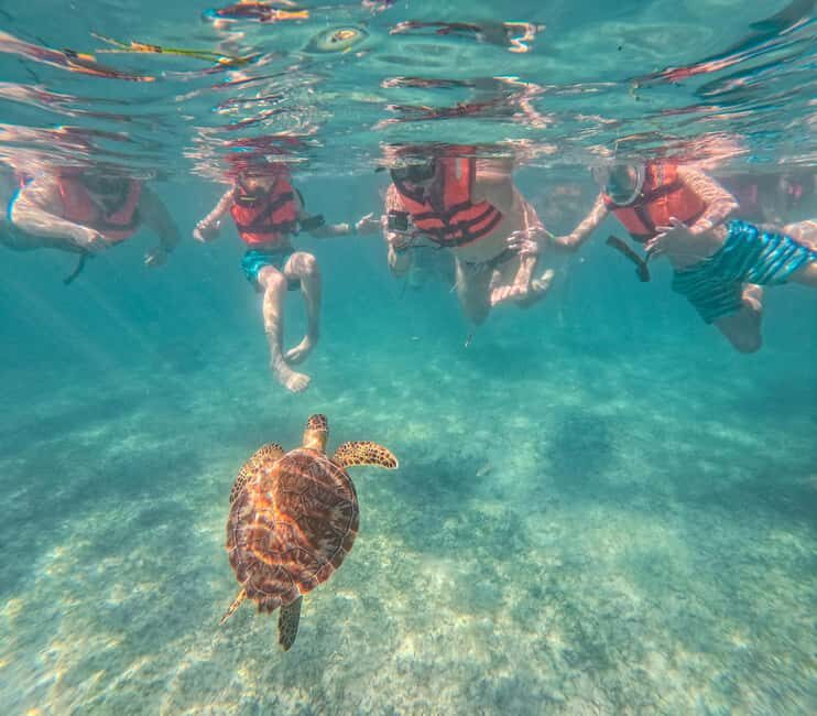 Cancun: Tulum Ruins, Akumal Turtles, Cenote & Caves Tour - An In-Depth Look at the Tour Experience