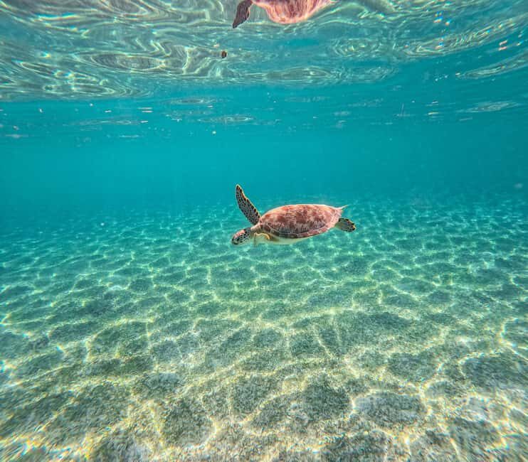 Cancun: Tulum Ruins, Akumal Turtles, Cenote & Caves Tour - FAQ