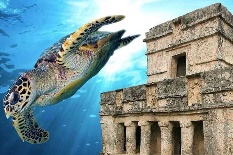 Cancun: Tulum Ruins & Snorkeling with Sea Turtles Tour - The Sum Up