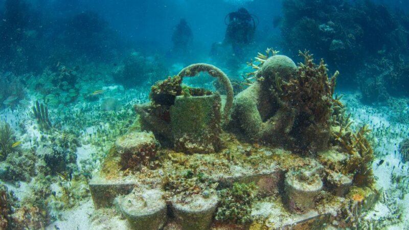 Cancún: Underwater Museum & Reef for Certified Scuba Divers - Authentic Experiences & Real Travel Tips