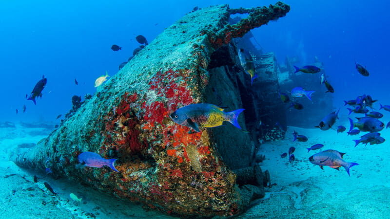 Cancún: Wreck and Reef for Certified Scuba Divers - Meeting Point and Practical Details