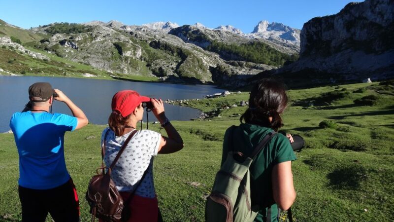 Cangas de Onís: Lakes of Covadonga Guided Tour - The True Value of This Experience