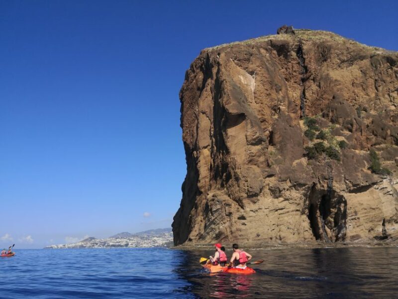 Caniço, Madeira: Marine Reserve Kayak & Snorkelling Tour - What to Expect from the Marine Reserve Kayak & Snorkelling Tour