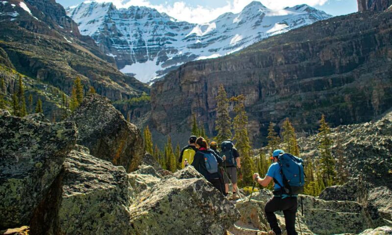 Canmore/Banff: Premium hiking tours in Banff region - Key Points
