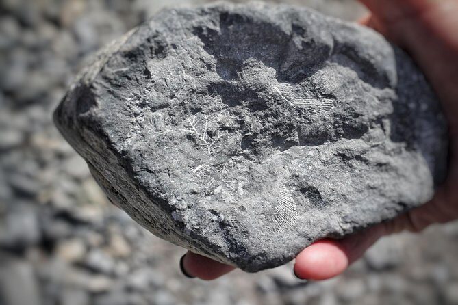 Canmore Caving Explorer Tour - An In-Depth Look at the Canmore Caving Explorer Tour