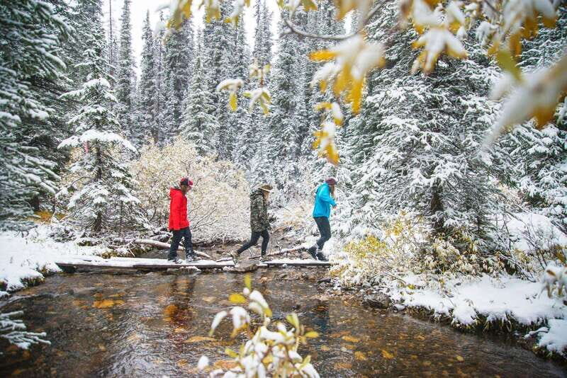 Canmore: Explore Winter Wildlife Tracks - 2hr Nature Walk - Key Points