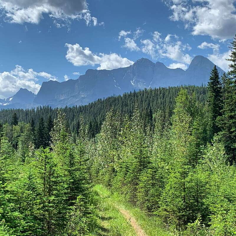 Canmore: LOST TOWNS and Untold Stories - Hiking Tour 3hrs - Insights from Past Travelers