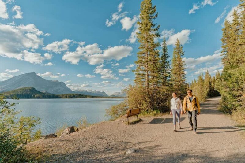 Canmore: Medicinal and Edible Plants, 2-hour Nature Walk - The Value of Expert Guidance