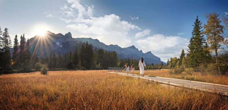 Canmore: Medicinal and Edible Plants, 2-hour Nature Walk - Who Should Consider This Tour?