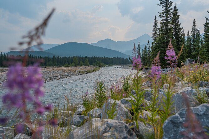 Canmore Medicinal and Edible Plants Nature Walk - 2 Hours - FAQ