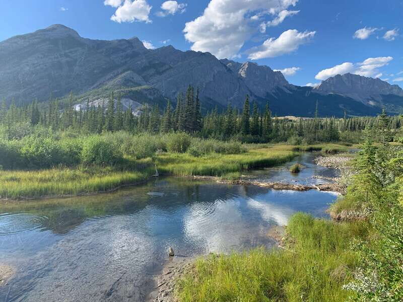 Canmore: PRIVATE SAFARI Drive to BANFF Park & Nature Walk - A Closer Look at What to Expect