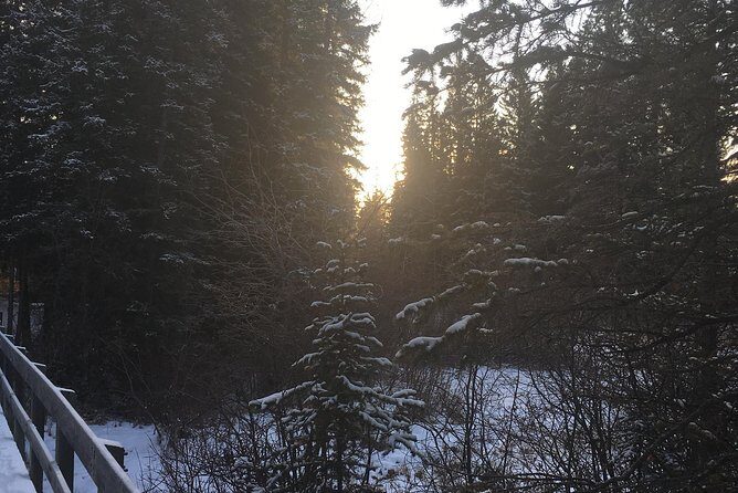 Canmore: Stargazing and Nature by Nightfall Walking Tour - 2hr - Wildlife and Cultural Insights