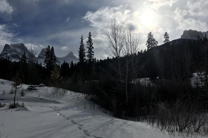 Canmore: Stargazing and Nature by Nightfall Walking Tour - 2hr - Practical Tips