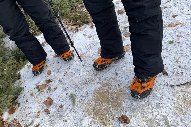 Canmore: Wilderness & Wildlife Tour - 2hr Walk - FAQ About the Canmore Wilderness & Wildlife Tour