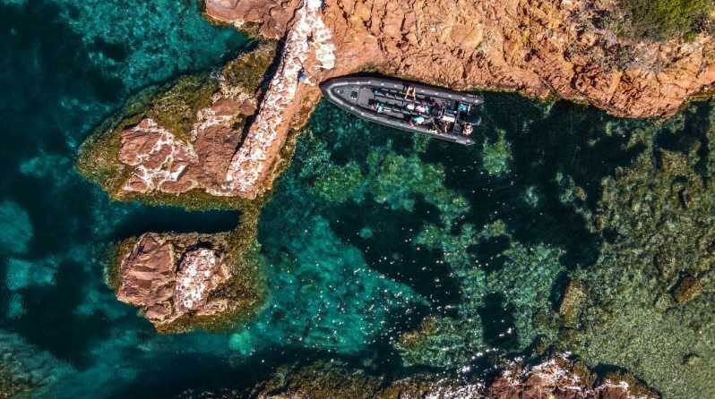 Cannes: Estérel Massif Boat Excursion - What’s Included & What’s Not