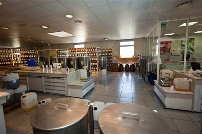 Cannes: French Riviera Private Sightseeing Shore Excursion - FAQ  