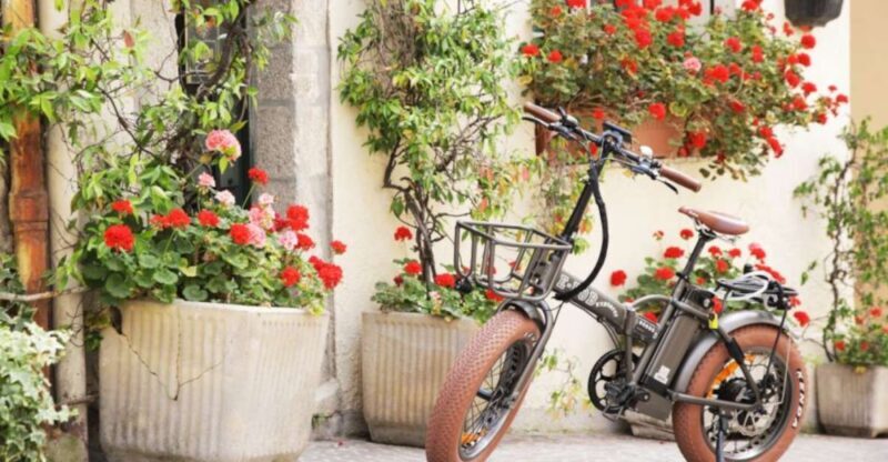 Cannes: rent an E-bike to visit the city - Why E-bike Tours Are a Great Way to See Cannes