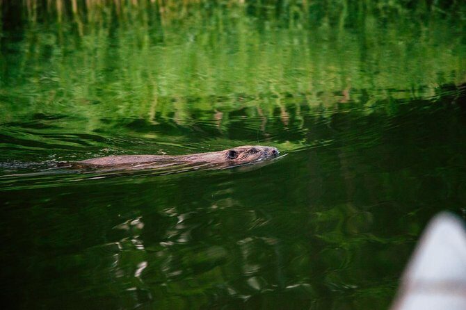 Canoe adventure in Stockholm Archipelago - FAQ