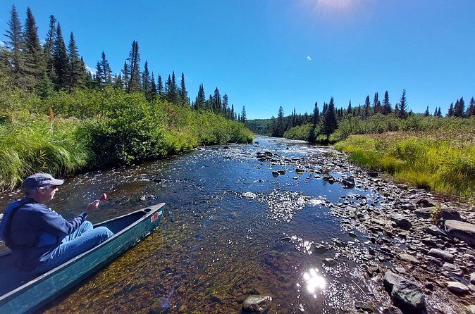 Canoe National Forest Lakes (Lutsen/Grand Marais) - The Value of the Experience