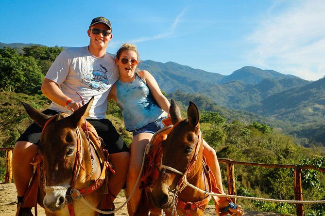 Canopy River Zipline Tour and Mule Ride - A Closer Look at the Experience