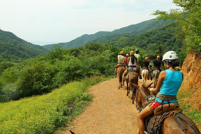 Canopy River Zipline Tour and Mule Ride - Practical Tips for Your Visit