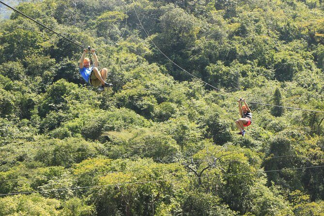 Canopy River Zipline Tour and Mule Ride - FAQ
