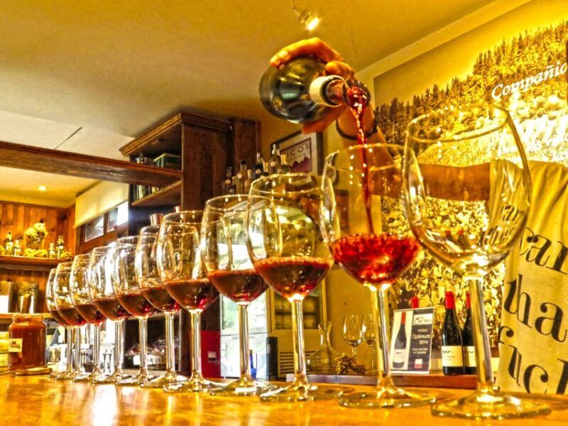 Cantabria: Wine and Liquor Tasting Guided Tour with Snacks - Deep Dive into the Itinerary
