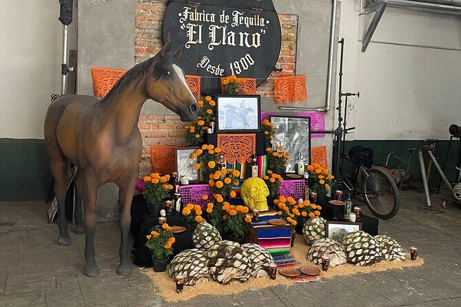 Cantaritos and Tequila Factory Tour - Authentic Snapshot from Reviews