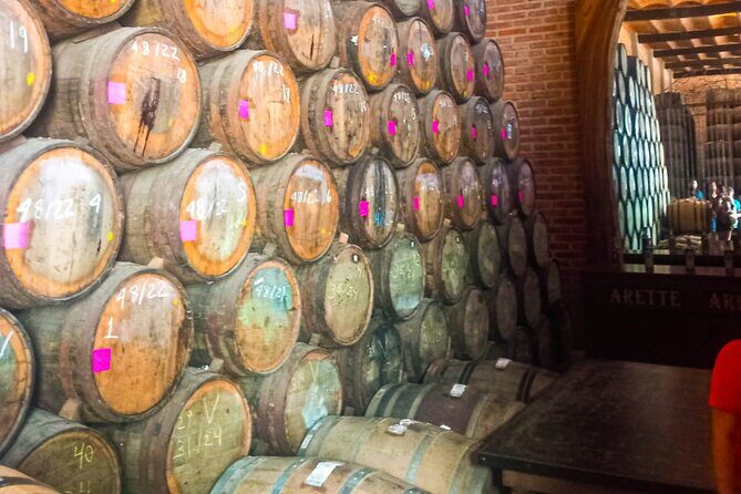 Cantaritos and Tequila Factory Tour - Who Should Consider This Tour?