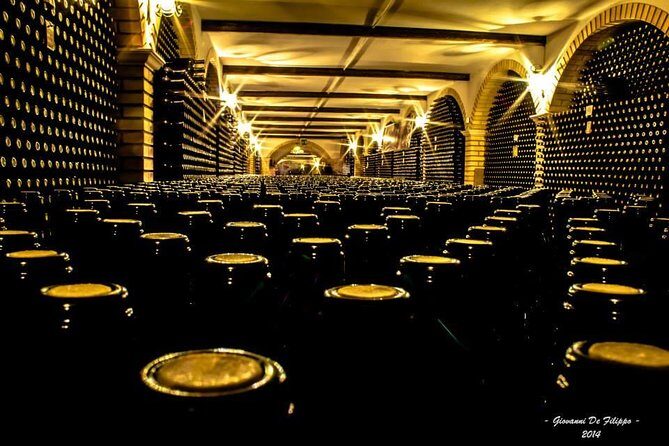 Cantine Bosco Nestore - Wine tour e Tasting - Experience the Charm of Abruzzo with Cantine Bosco Nestore’s Wine Tour and Tasting