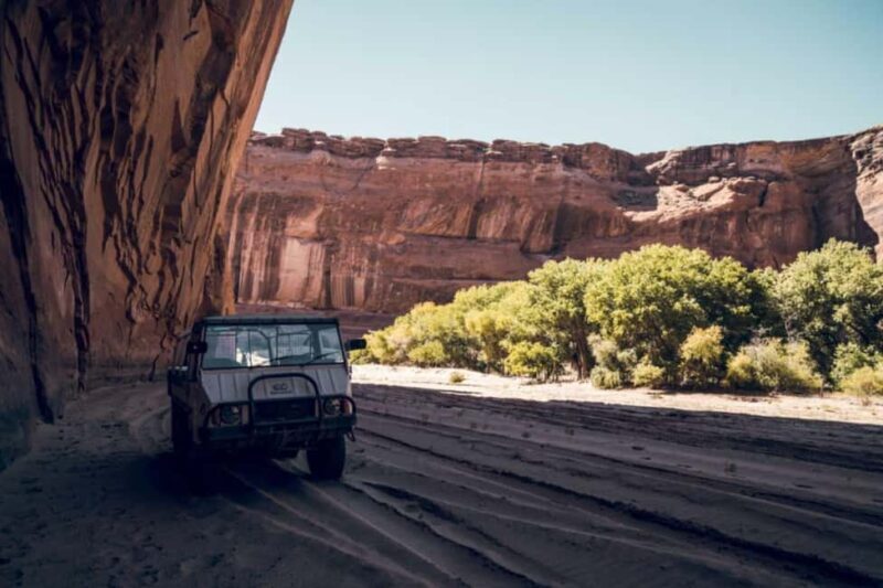 Canyon de Chelly: Spider Rock Rim Tour & Storytelling - Key Points