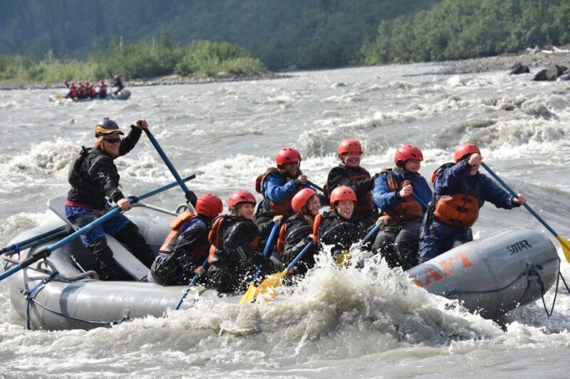 Canyon Run: Denali National Park Class IV Whitewater Rafting - What to Expect from the Tour