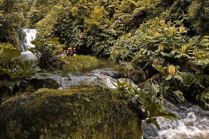 Canyoning Adventure in Ribeira da Salga (Sao Miguel - Azores) - Key Points