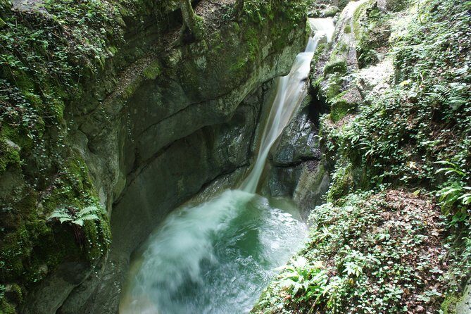 Canyoning discovery 3h in Aix les bains / Chambéry: Ternèze - The Sum Up