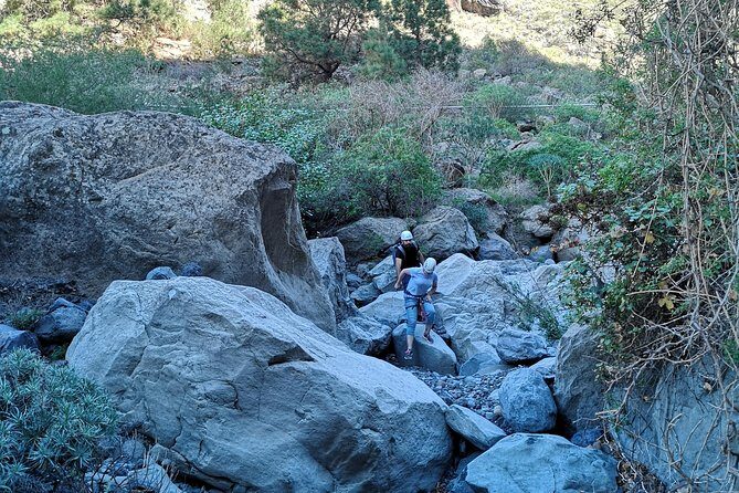 Canyoning in a Natural Protected Space - What the Reviews Say