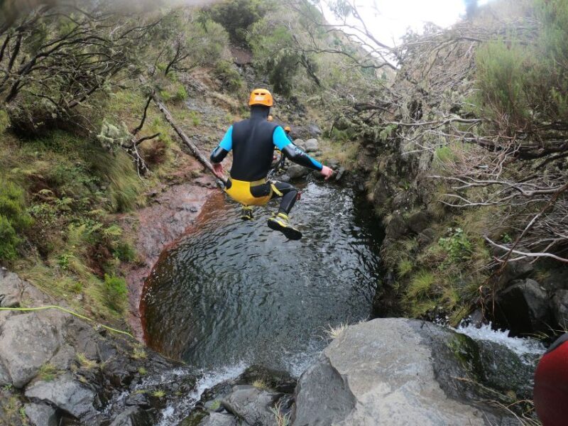 Canyoning in Madeira: Ideal for First-Timers and Families - Who Should Consider This Tour?