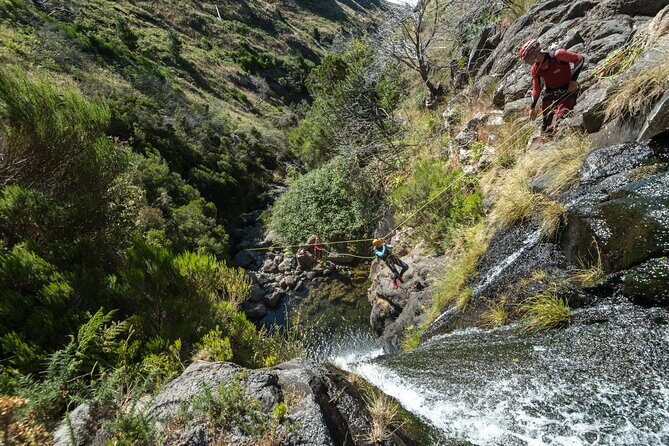 Canyoning in Madeira: Ribeira das Cales - Funchal Ecological Park - Who Will Love This Tour?