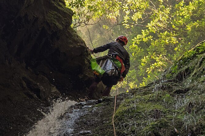 Canyoning Madeira Intermediate - What to Expect: A Deep Dive into the Madeira Canyoning Experience