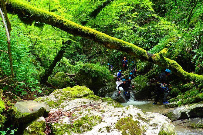 Canyoning sensation of Angon on the shores of Lake Annecy - How Does the Tour Value Stack Up?