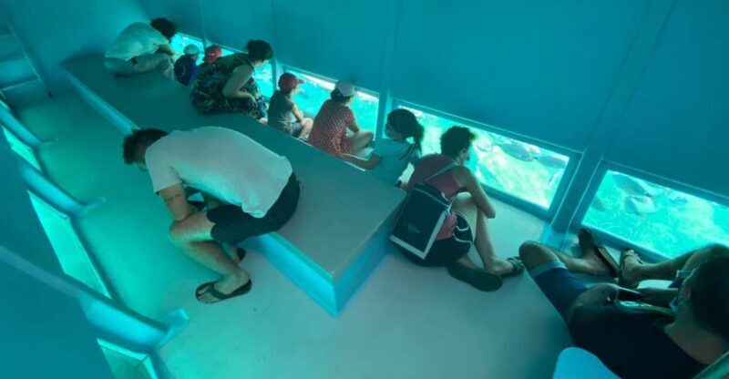 Cap Norfeu: Costa Brava Catamaran Trip with Underwater Views - Key Points