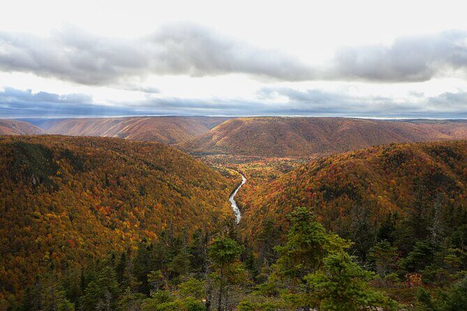 Cape Breton Fall Colours Tour On and Off Road - The Scenic Route: What to Expect on the Tour