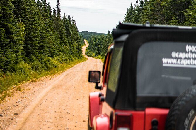 Cape Breton Waterfall Jeep Excursion - Biggest Waterfall in NS - Authentic Insights from Reviews