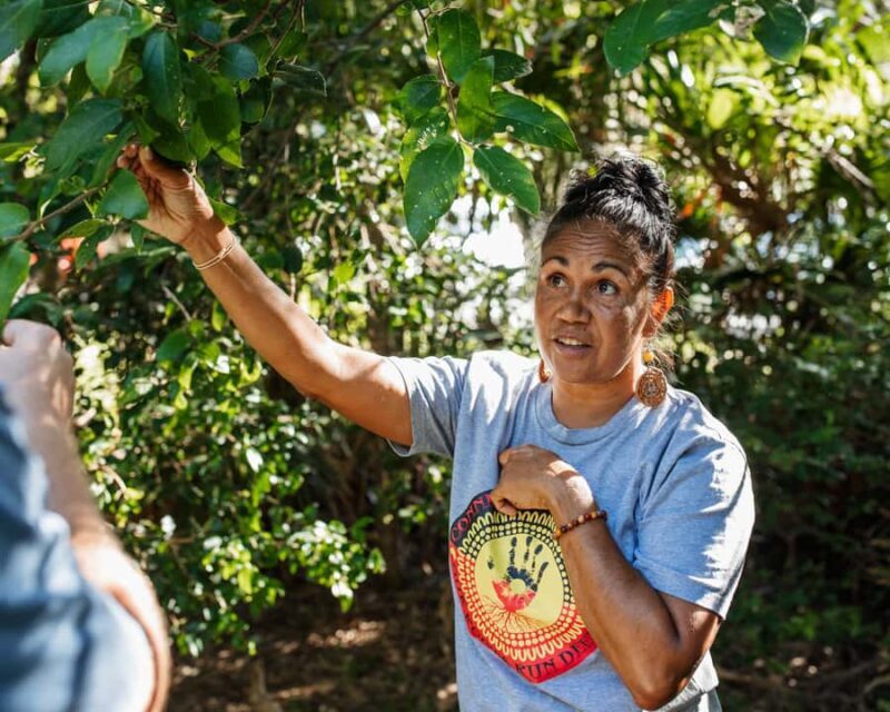 Cape Byron Aboriginal Tour - What to Expect During the Tour